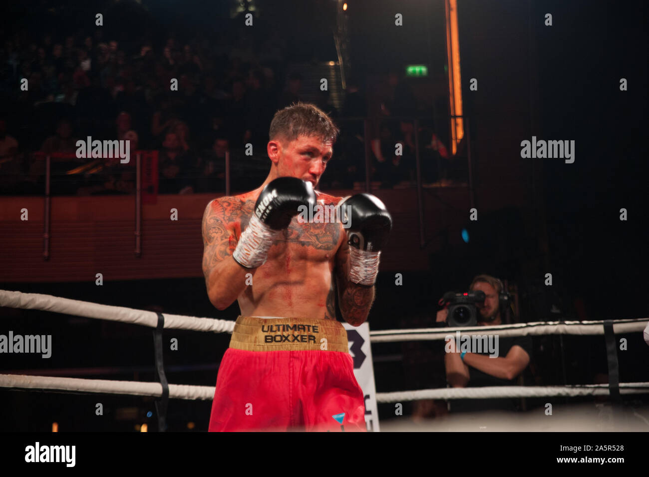 Ultimate Boxxer V, boxers fight for the title of Ultimate Boxxer V, at ...