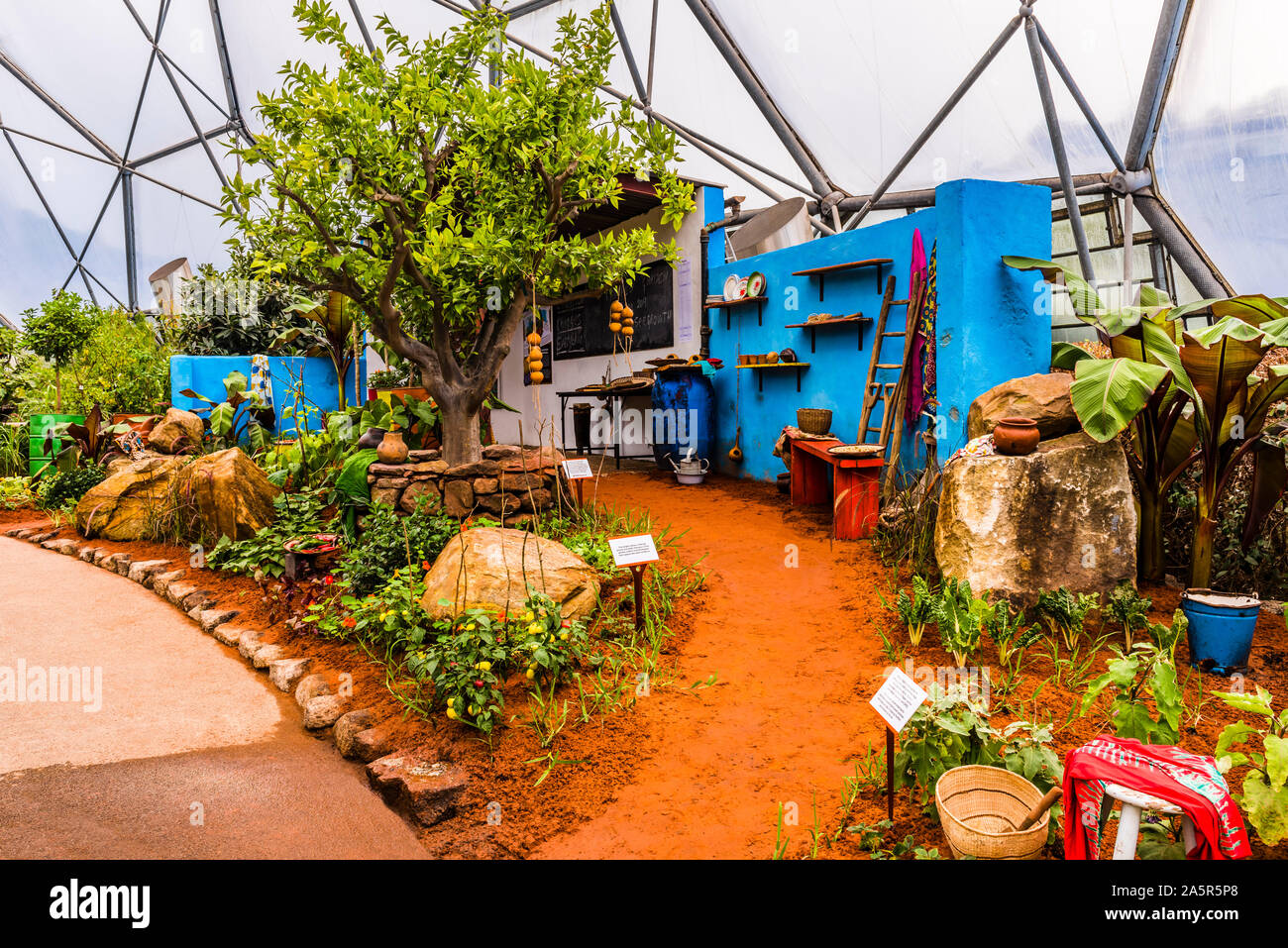 The gold medal winning RHS Chelsea Flower Show 2019 CAMFED Garden re ...