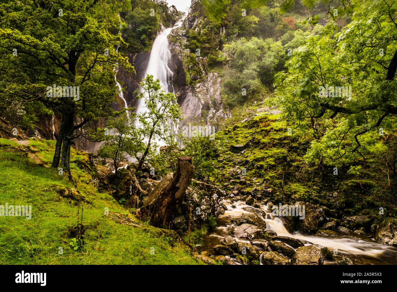 Aber Falls through the trees, Abergwyngregyn, Snowdonia National Park ...