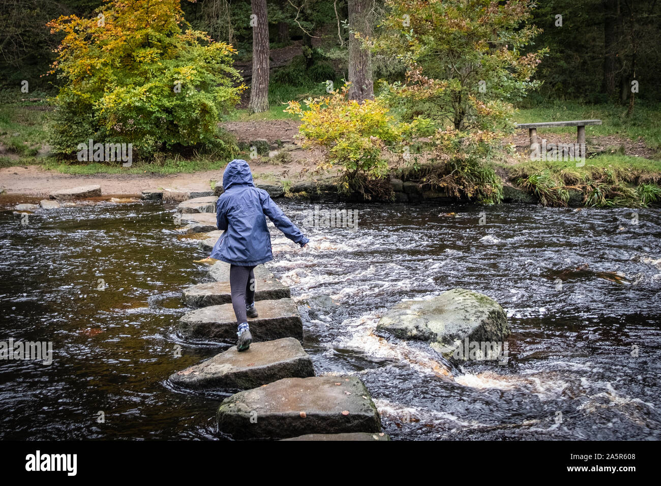 Hardcastle crags stepping stones hi-res stock photography and images - Alamy