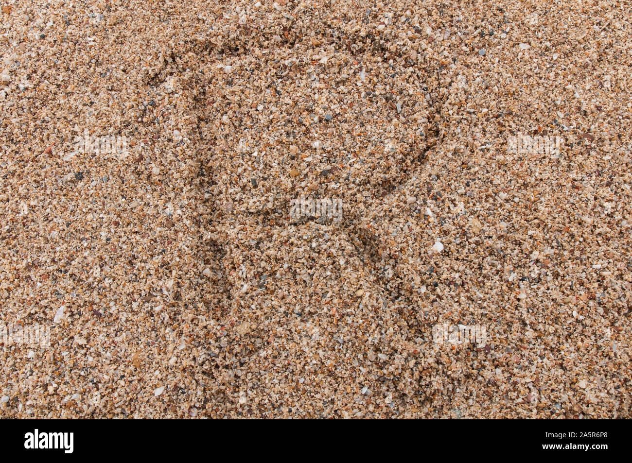 Character R of the alphabet writing on the sand Stock Photo - Alamy