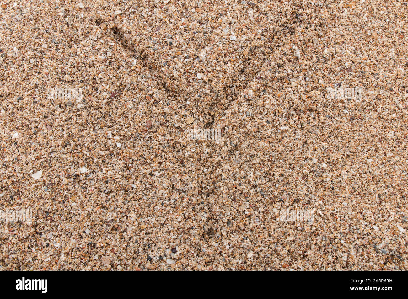 Character Y of the alphabet writing on the sand Stock Photo - Alamy