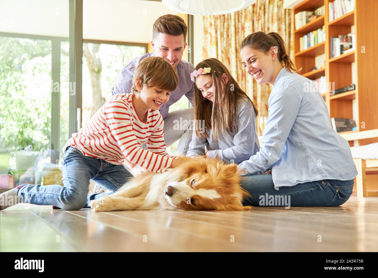 Parents and children together stroke the dog in the living room Stock ...
