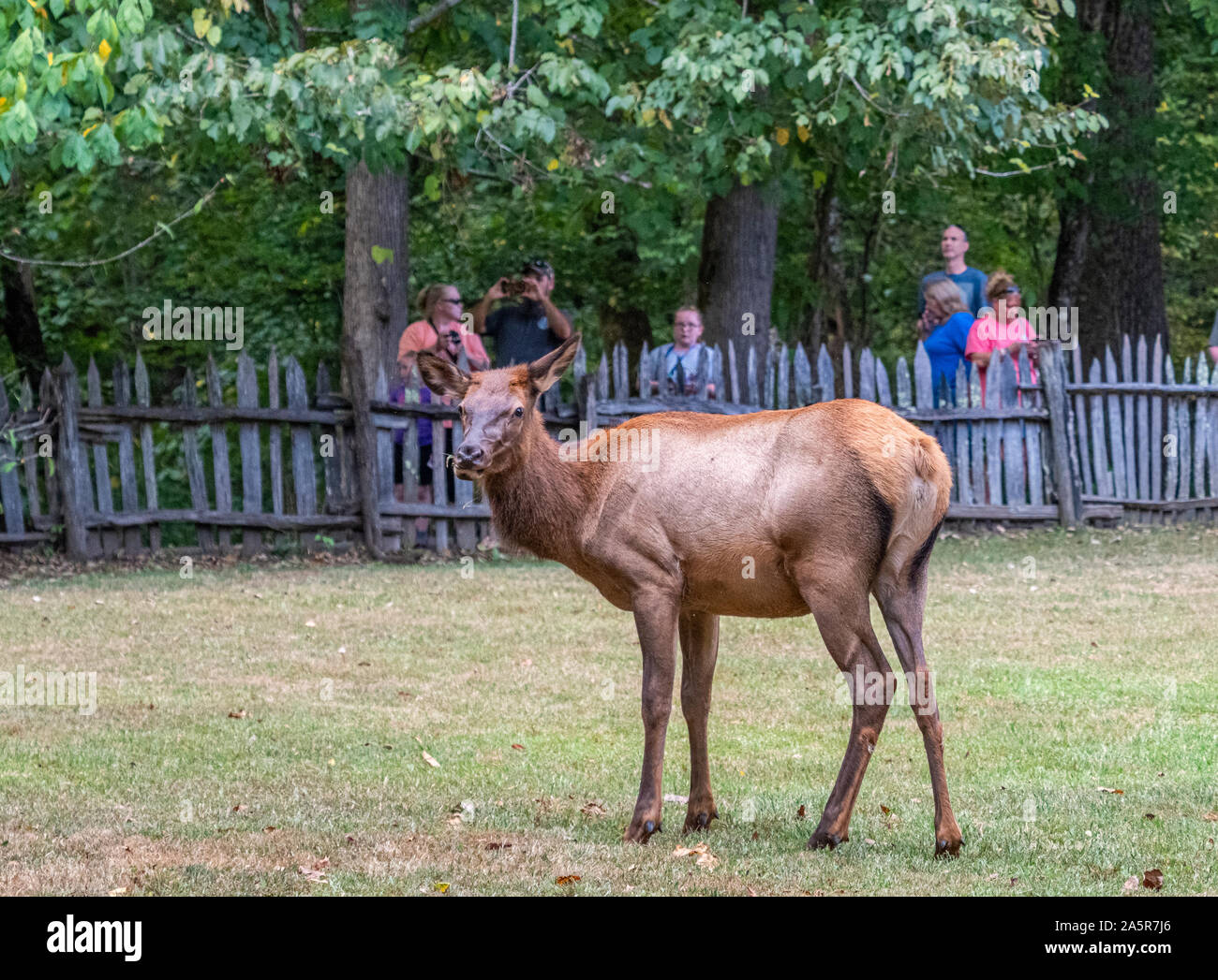 Cherokee nc hi-res stock photography and images - Alamy