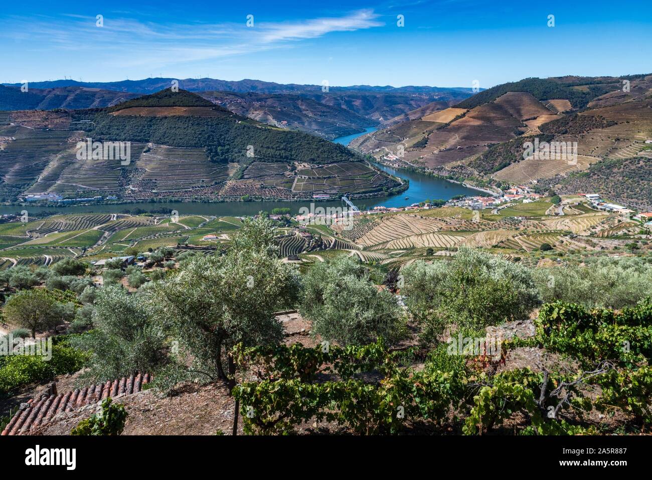 Pinhao wine harvest hi-res stock photography and images - Alamy
