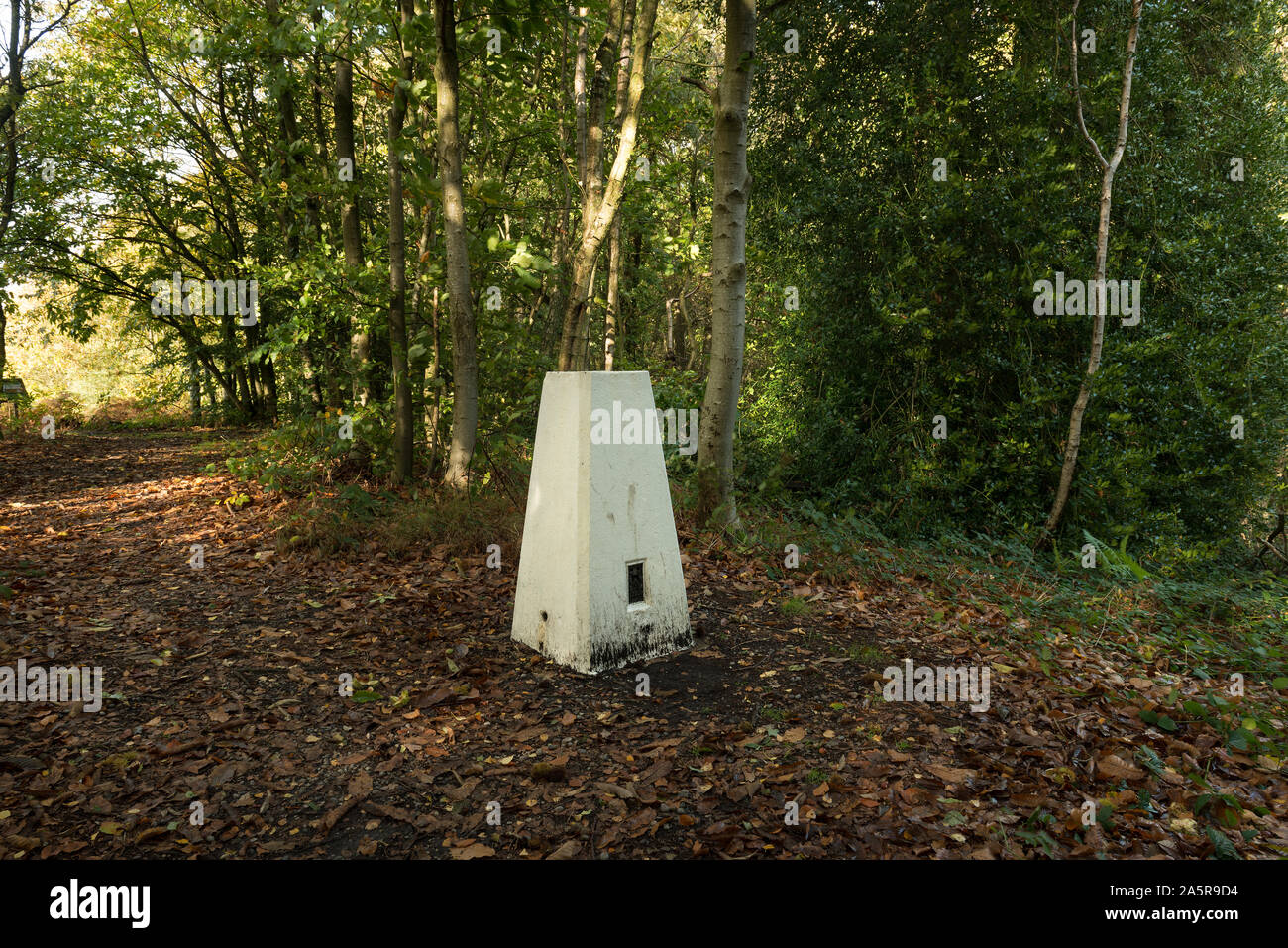 Seemingly strange for a trigonometry trig point at Holly Hill with no ...