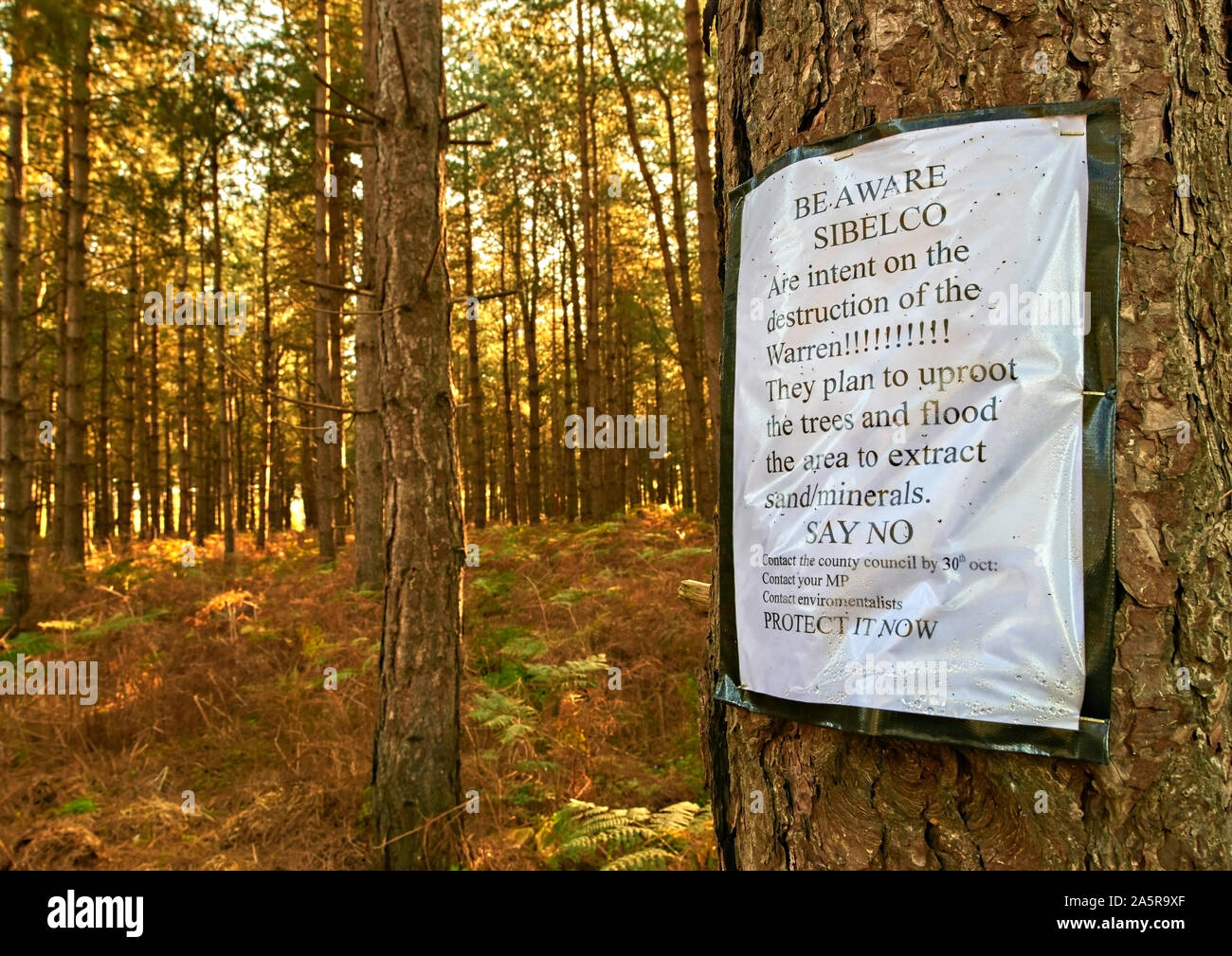 Shouldham warren hi-res stock photography and images - Alamy