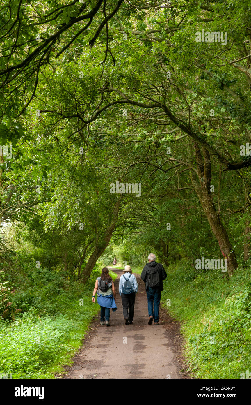 Three ramblers walking along the Cuckoo Trail disused railway path ...