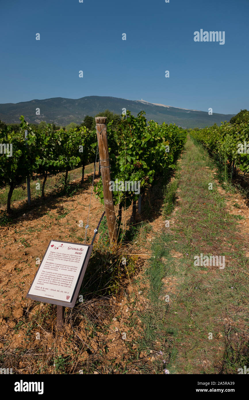 Outdoor wine museum, Cotes du Ventoux, Bedoin, Provence, France Stock ...