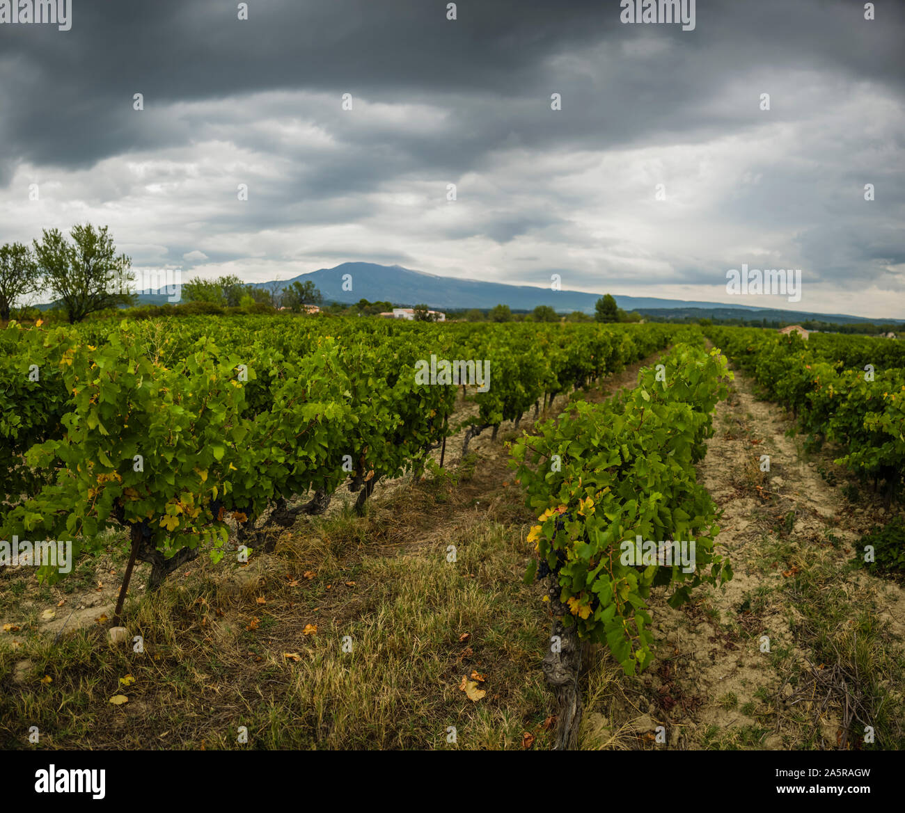 Ventoux region hi-res stock photography and images - Alamy