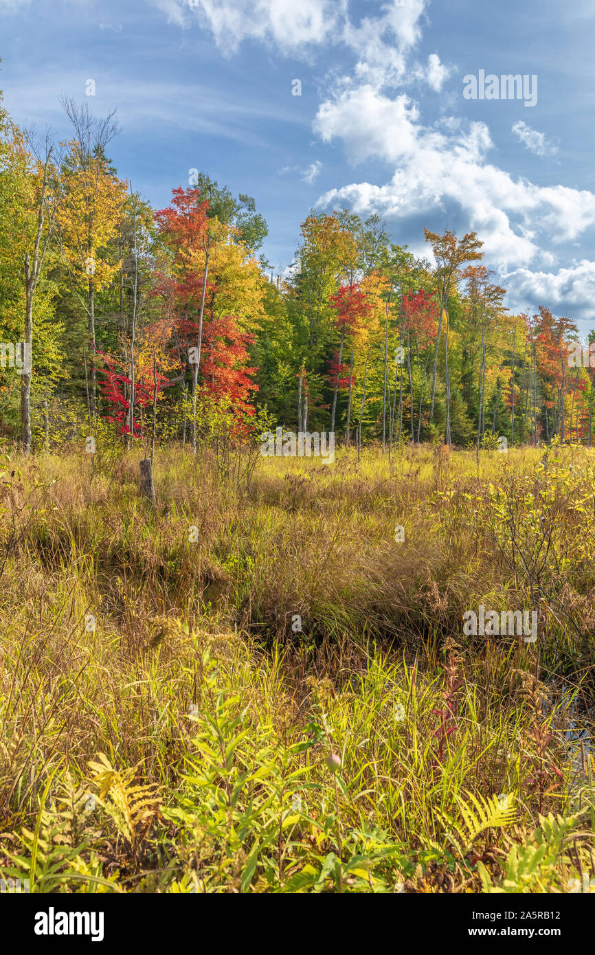 Northern wisconsin fall colors hi-res stock photography and images - Alamy