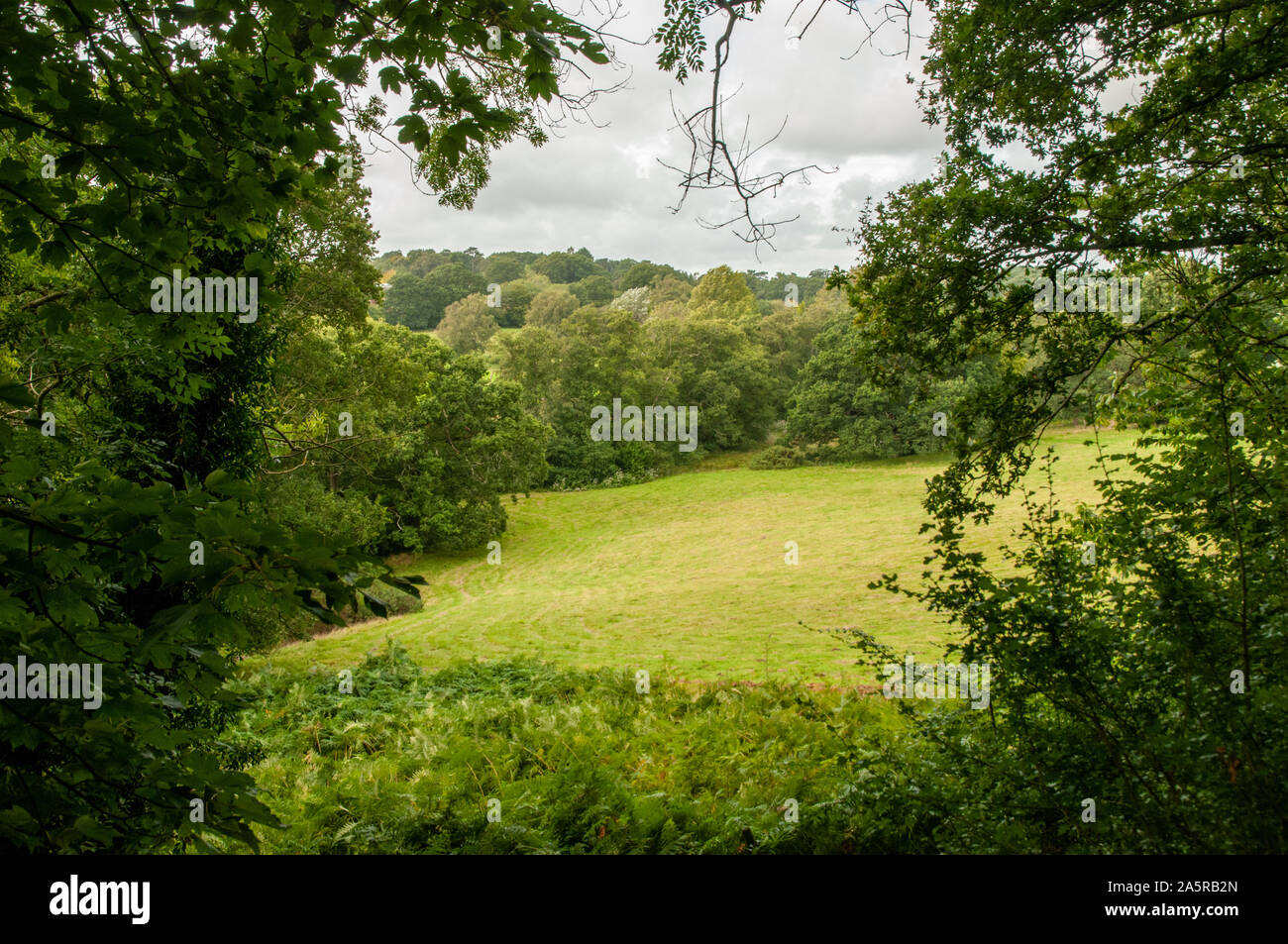 Heathfield cuckoo trail hi-res stock photography and images - Alamy
