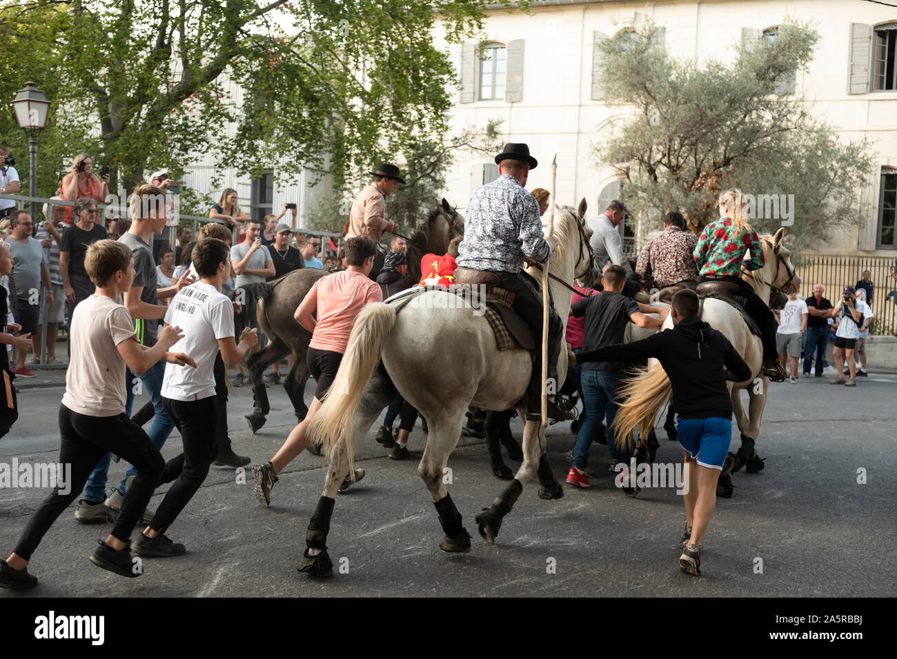 Cowboys leading cattle hi-res stock photography and images - Alamy