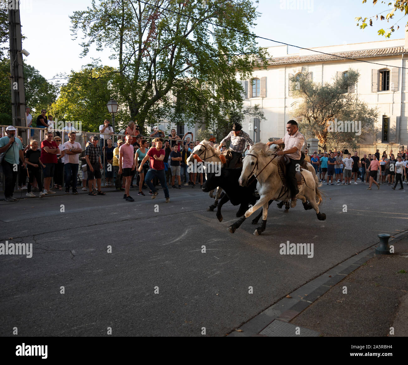 San remy attraction hi-res stock photography and images - Alamy