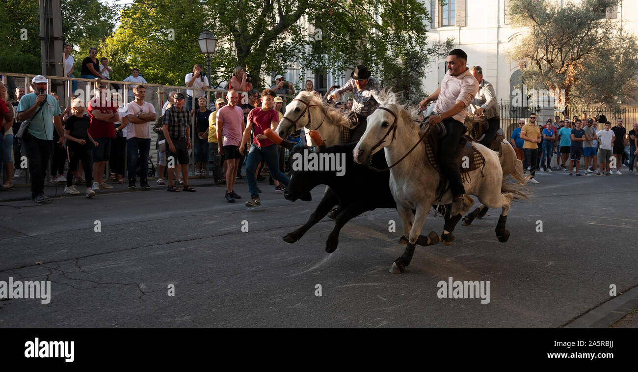 Cowboys leading cattle hi-res stock photography and images - Alamy