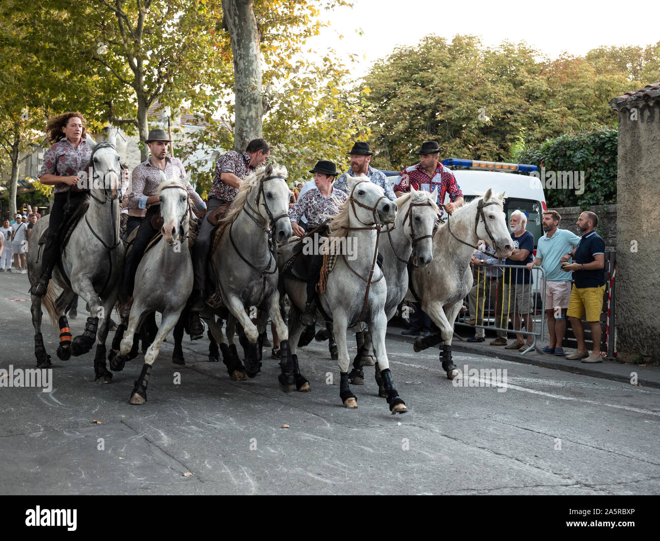 The bull run in San Remy, organised by the Guardians of the Camargue ...