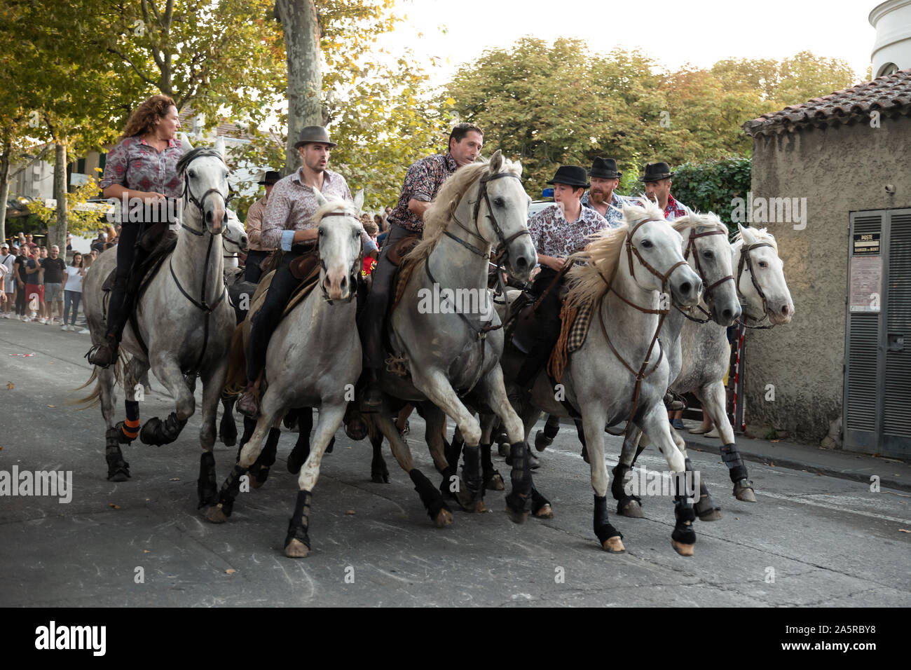 Cowboys leading cattle hi-res stock photography and images - Alamy