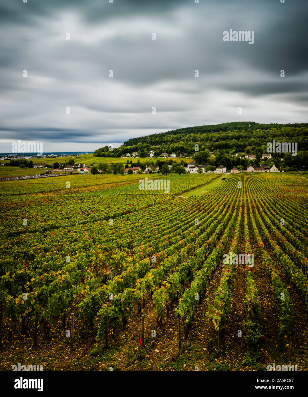 Autumn in the vineyards of Nuits Saint Georges, Burgundy, France Stock ...