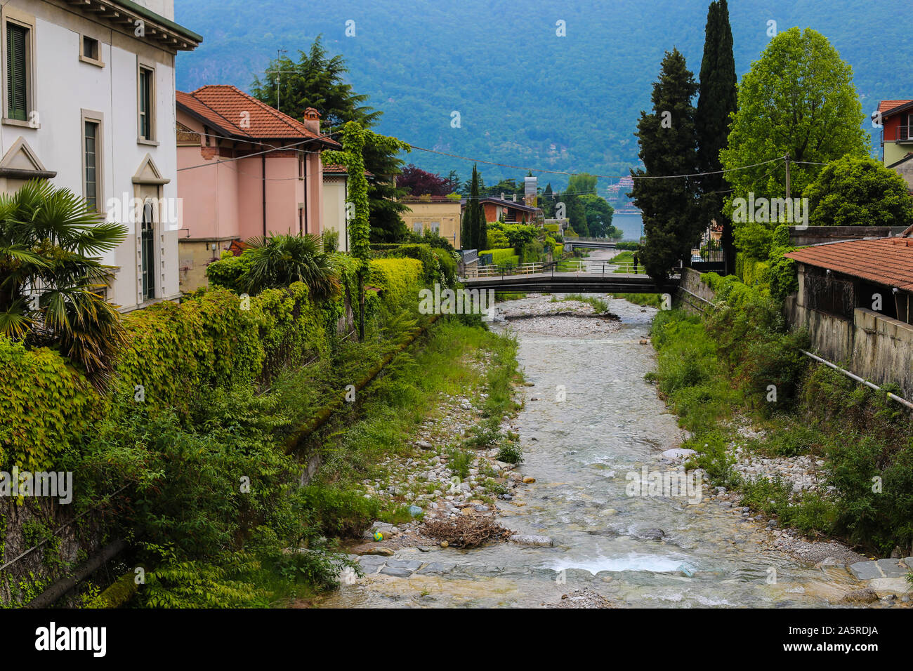 Amazing italian town Mandello with lovely houses, trees and Alps in ...