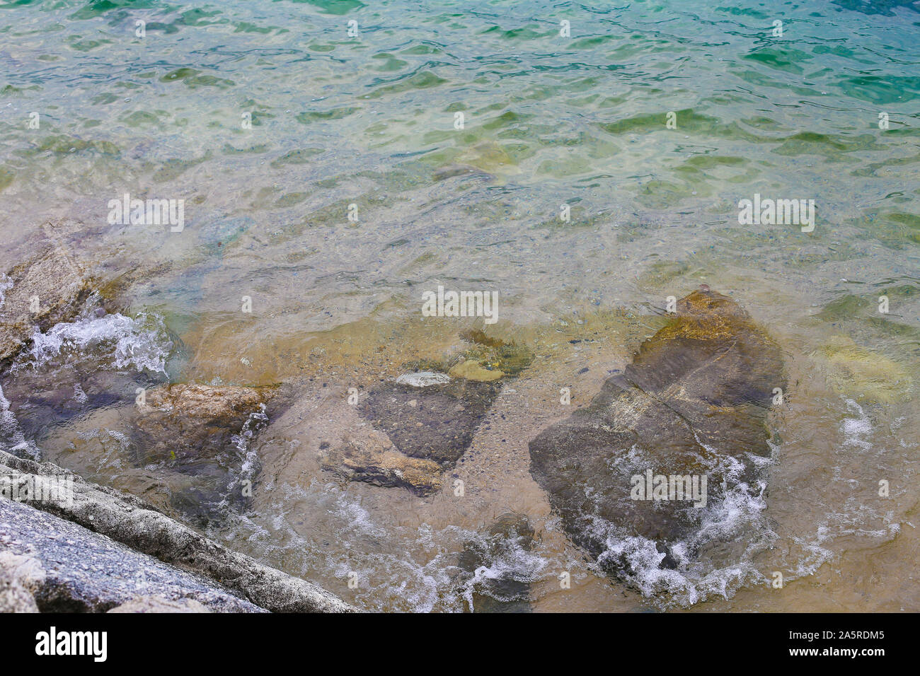 Transparent river stones in summer hi-res stock photography and images ...