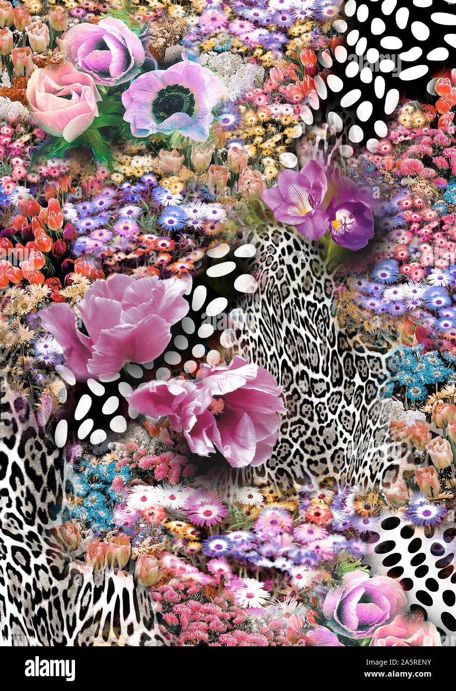 Leopard Pattern. Leopard Print. Leopard Texture. Leopard background ...