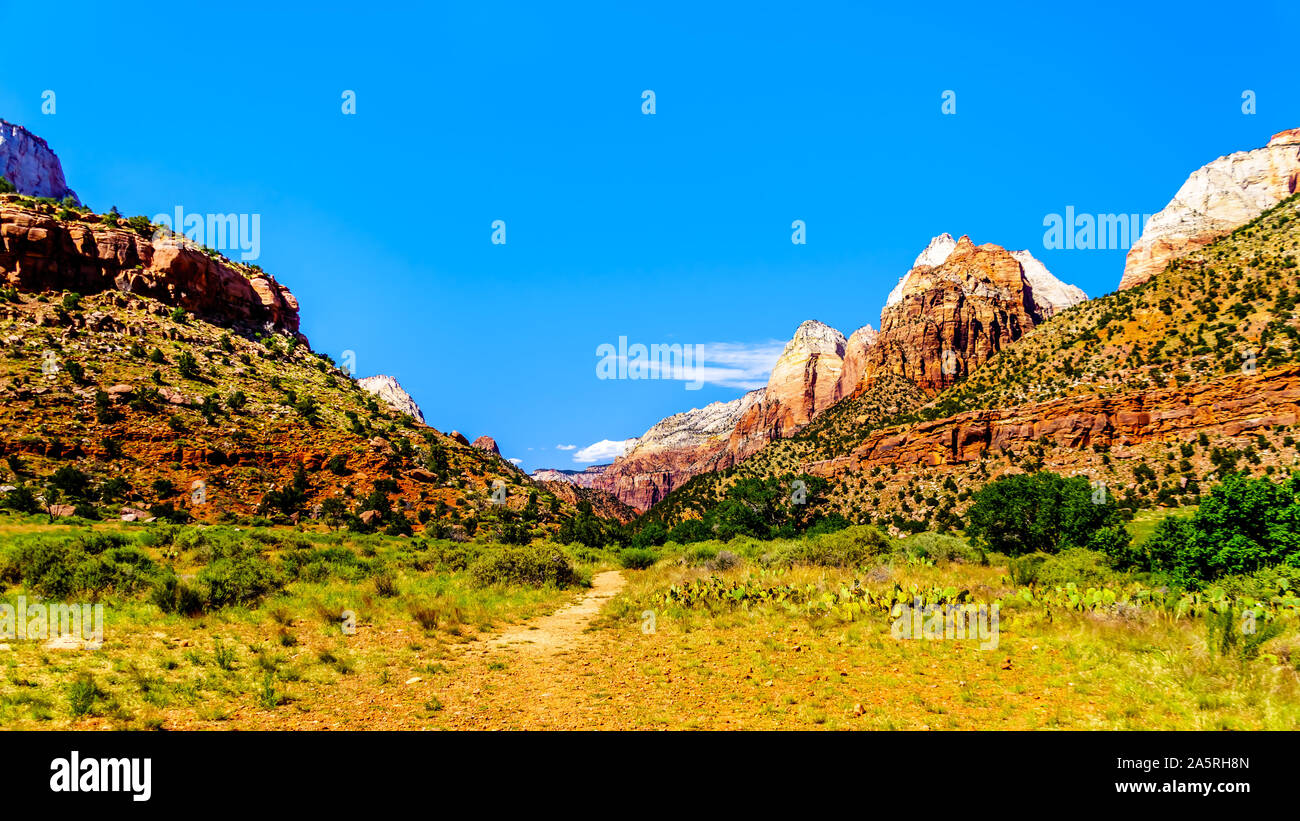 Twin brothers hi-res stock photography and images - Alamy