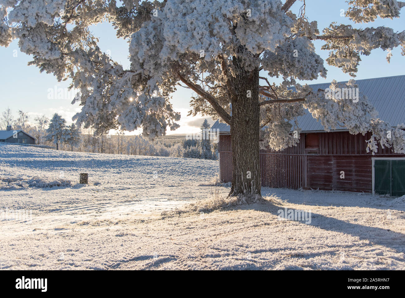 Sweden snow landscape light hi-res stock photography and images - Alamy