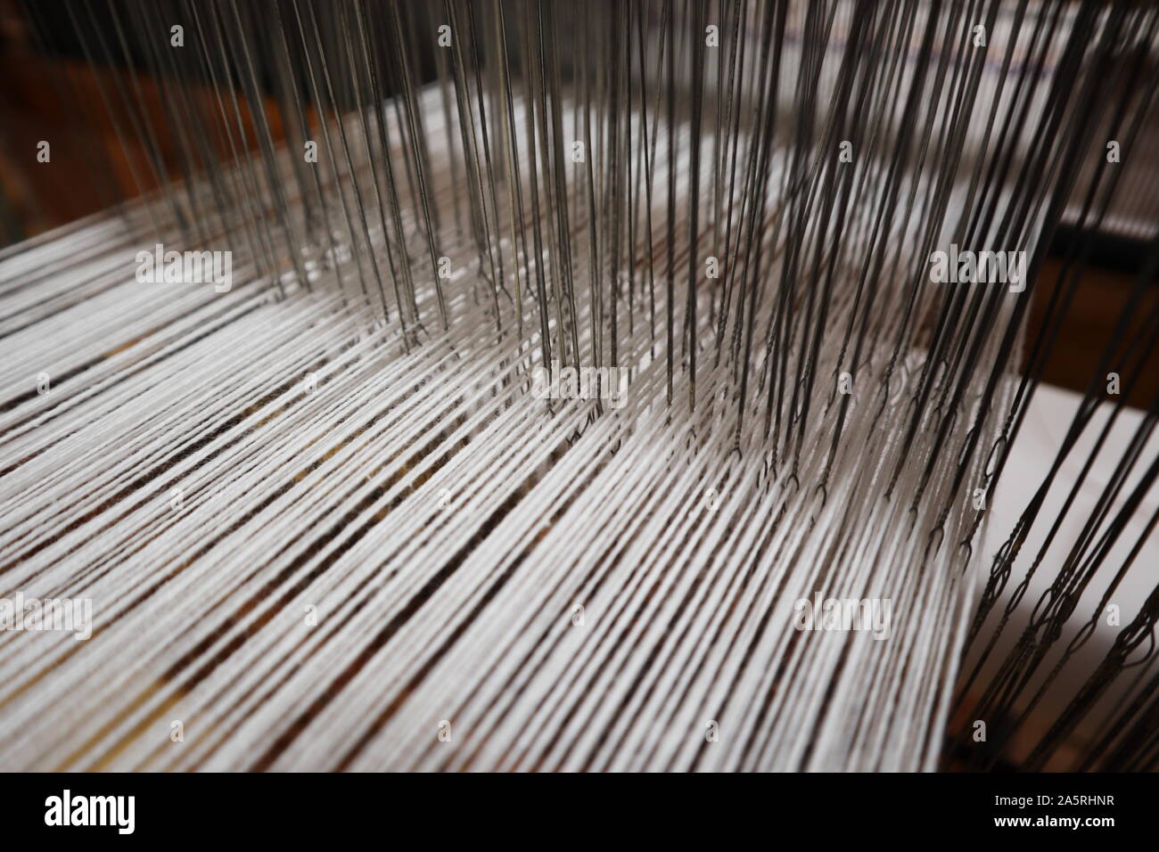 white warp on a 4-shaft floor loom, passing through metal heddles. seen ...