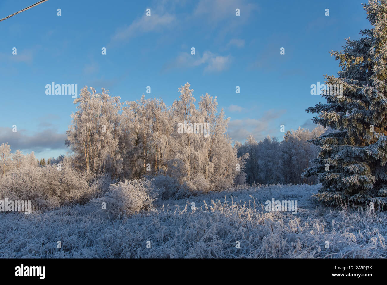 Sweden snow landscape light hi-res stock photography and images - Alamy