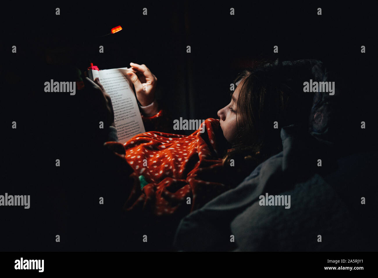 Books and reading light hi-res stock photography and images - Alamy