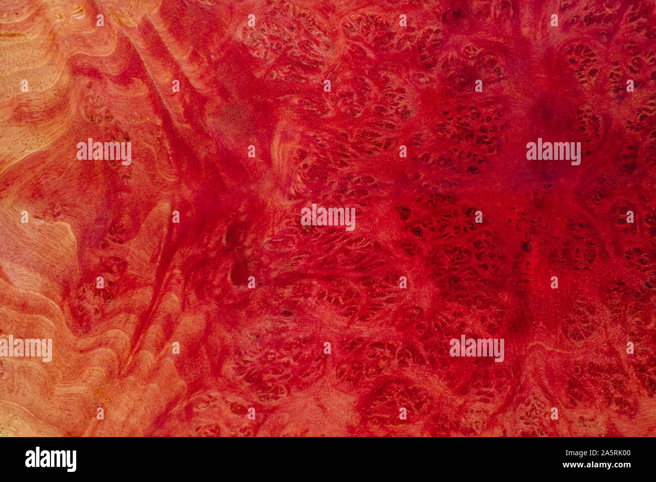 Close up nature Jamba pink burl wood striped, Exotic wooden beautiful ...