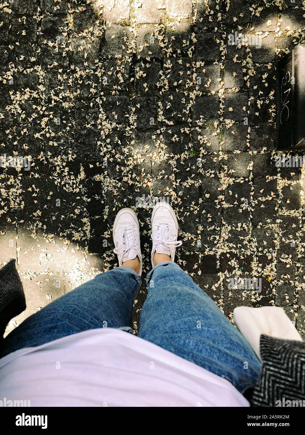 Top view of female legs in jeans and snekares Stock Photo - Alamy