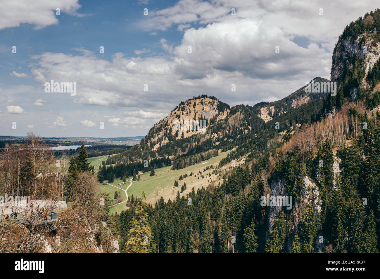 Top view of nature hi-res stock photography and images - Alamy