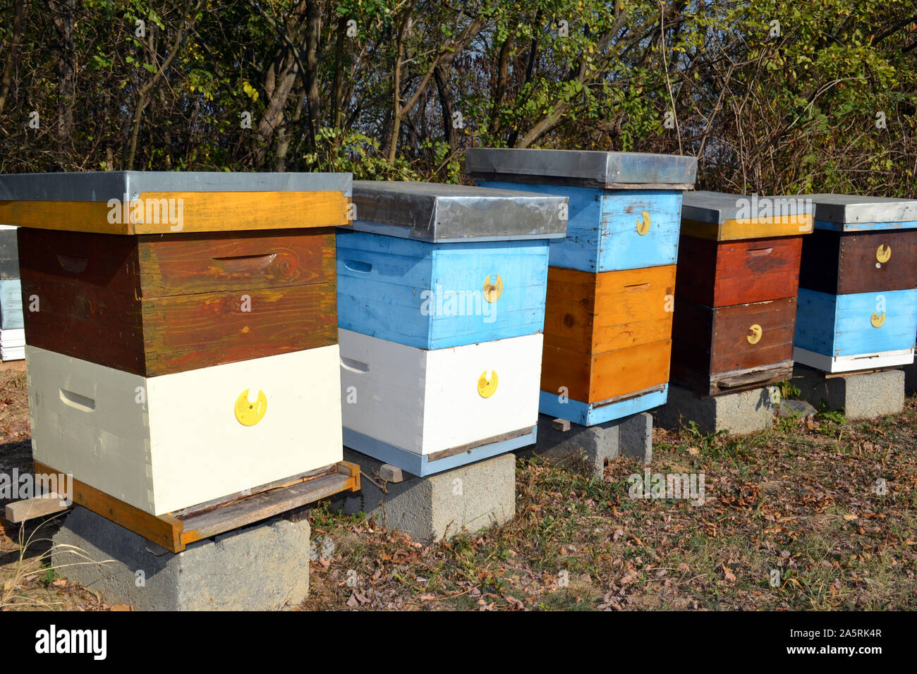 Ancient Wooden Beehives High Resolution Stock Photography and Images ...