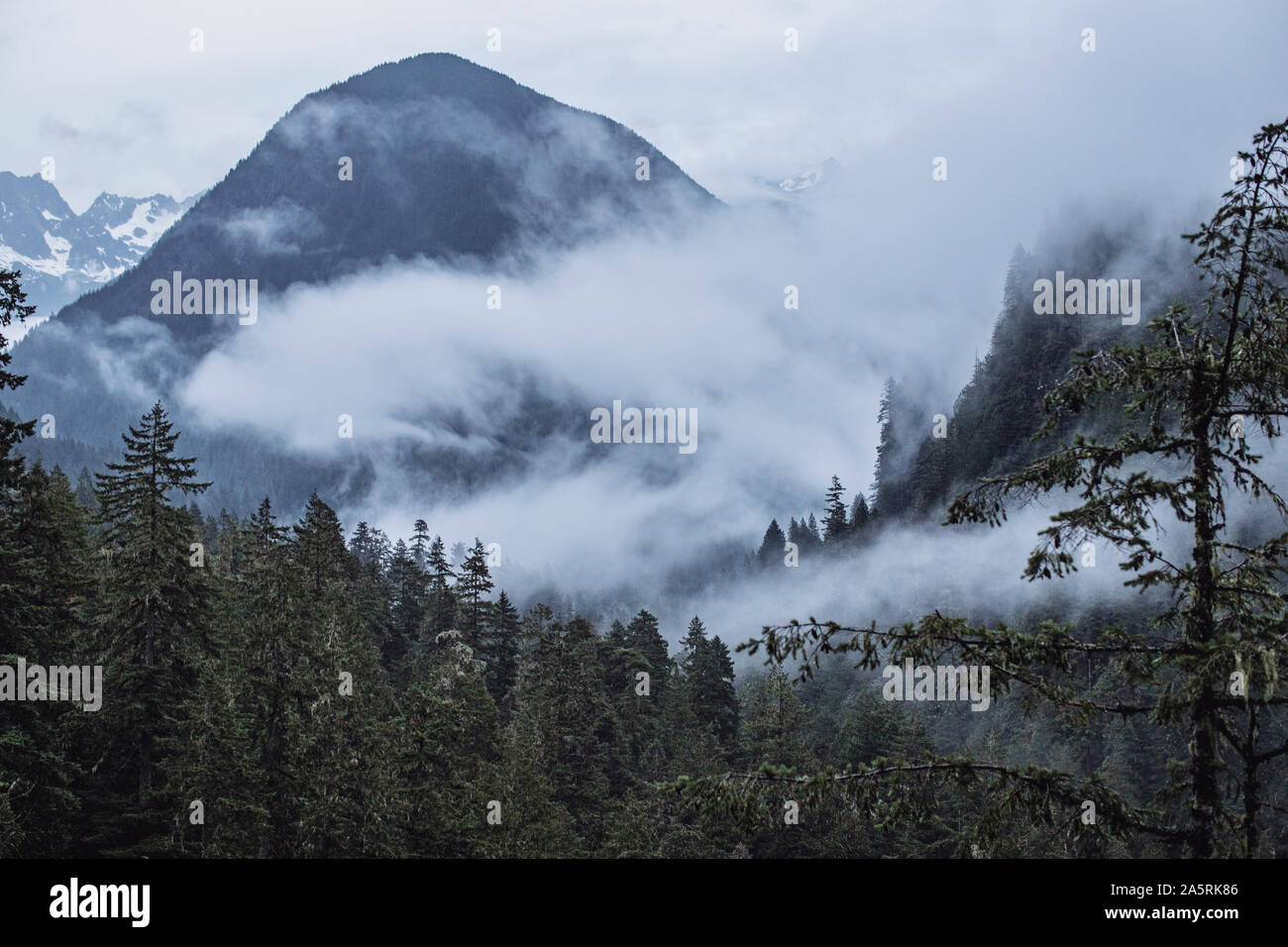 Mist and fog in the valleys of north cascades national park Washington ...