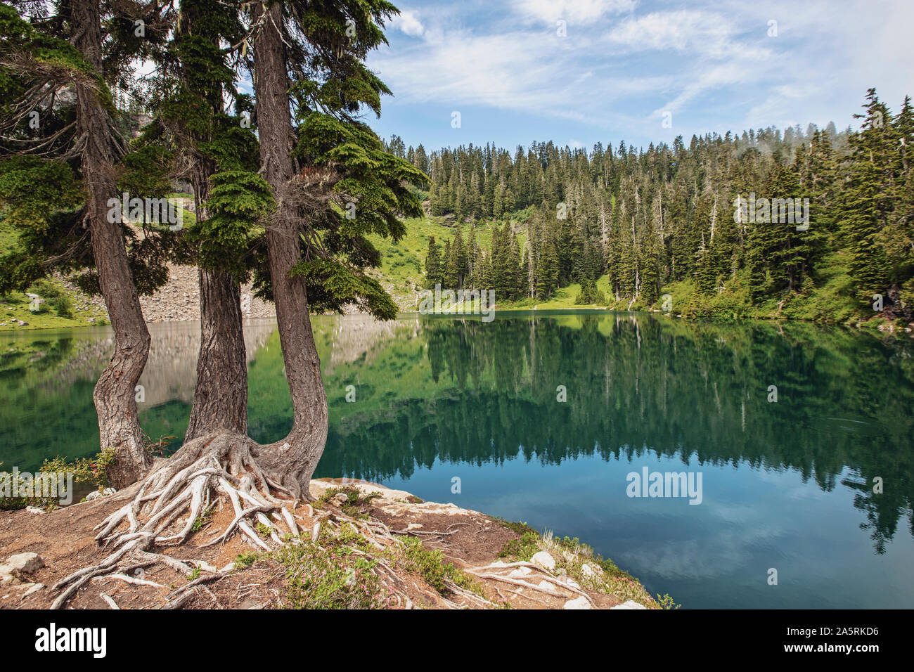 Pristine Blue lake reflects trees, Cascade Mountains, Washington Stock ...