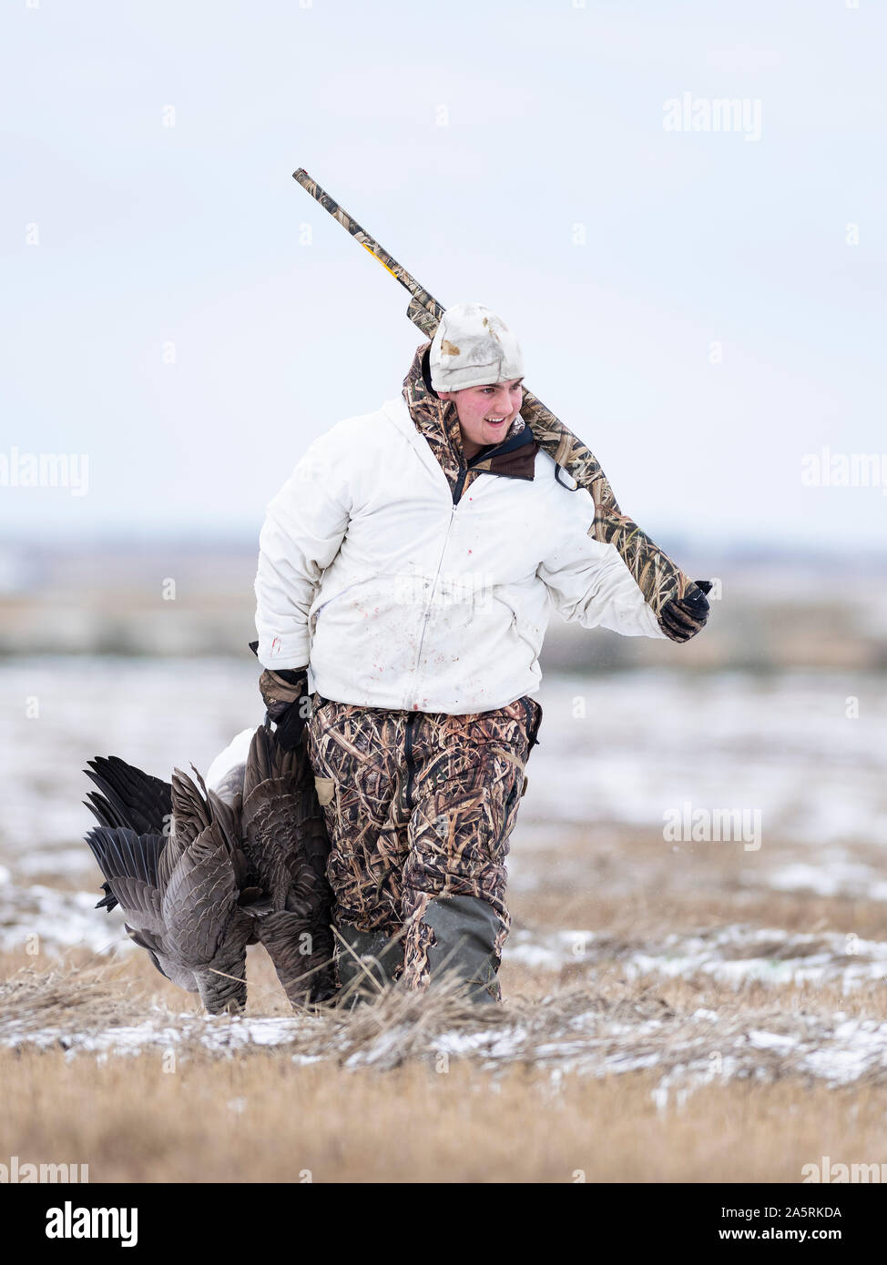 A young goose hunter with Canadian Geese Stock Photo - Alamy