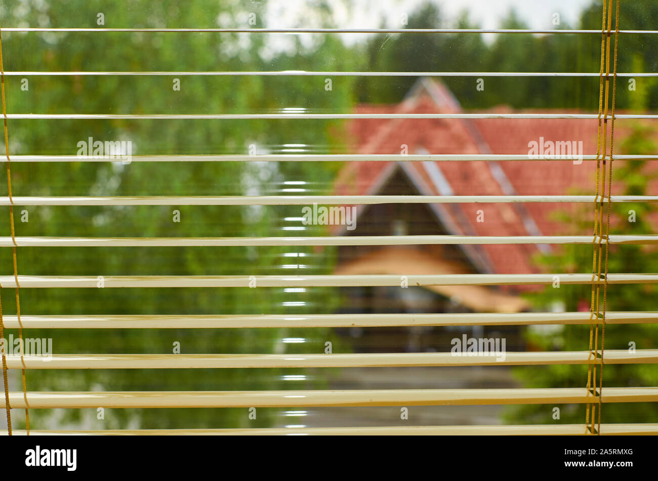 View through window blinds on a tree top and a house with red roof ...