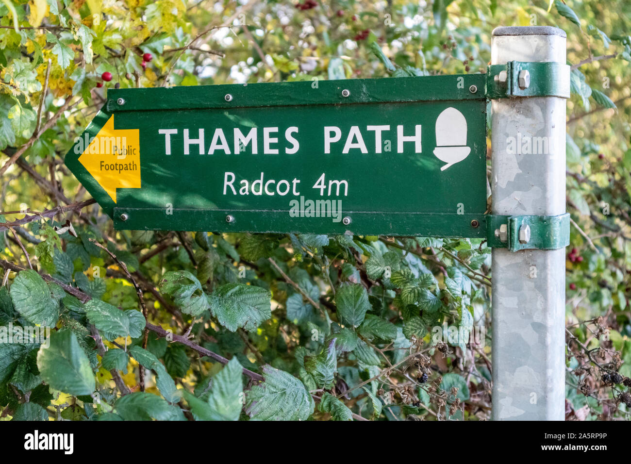 Signs signage logos hi-res stock photography and images - Alamy