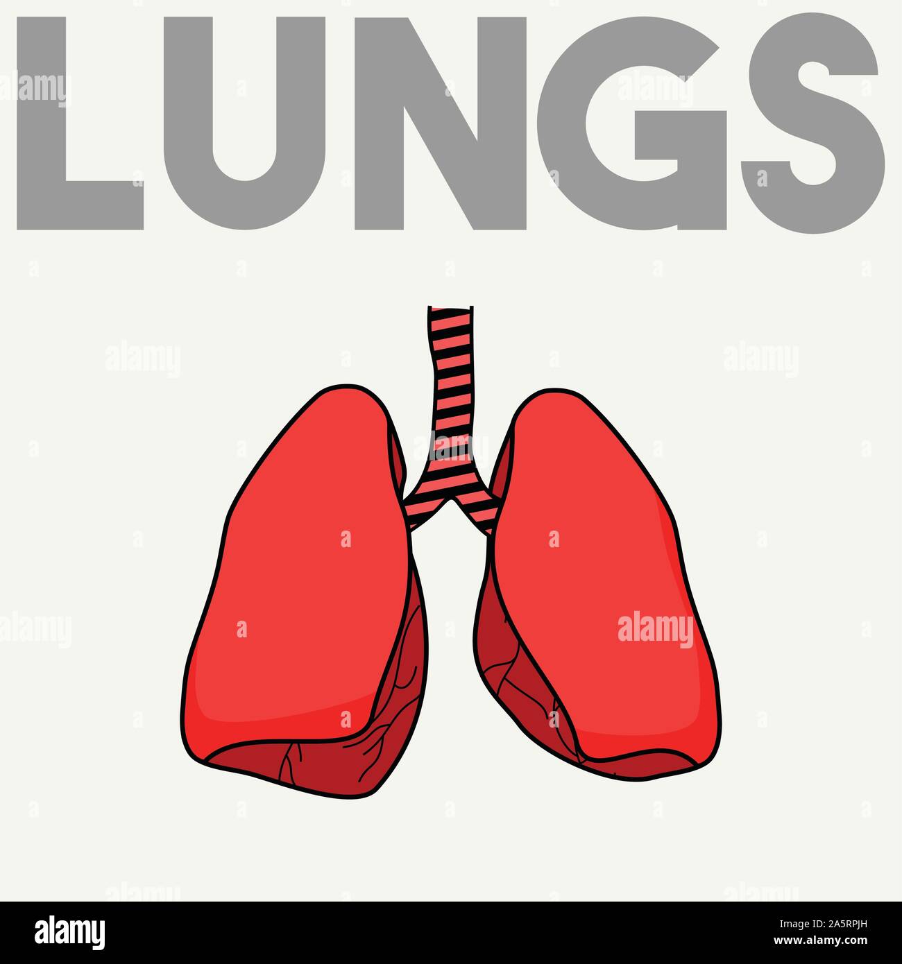 Red Lungs icon vector template Stock Vector Image & Art - Alamy