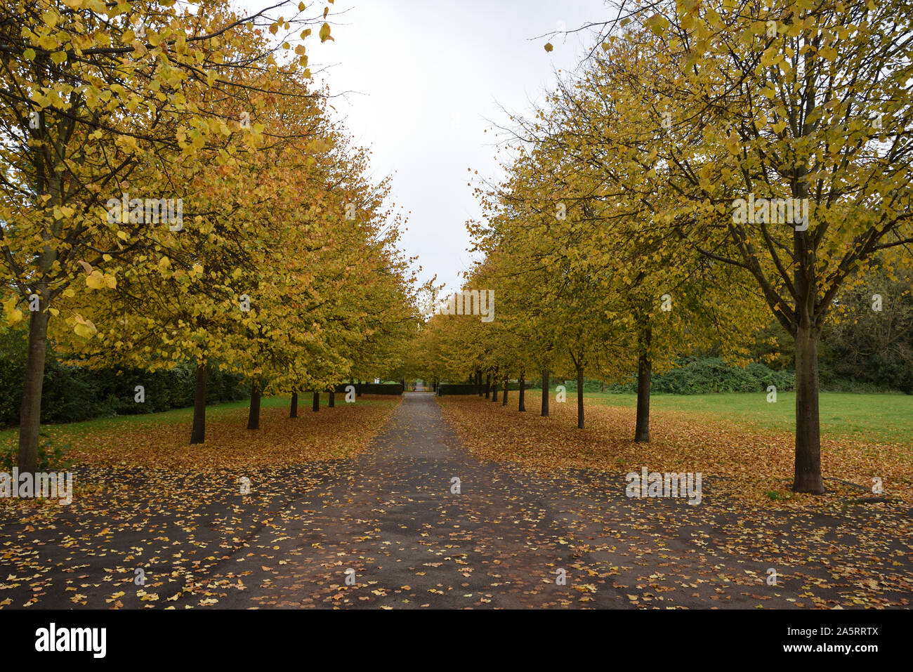 Rowntree park york hi-res stock photography and images - Alamy