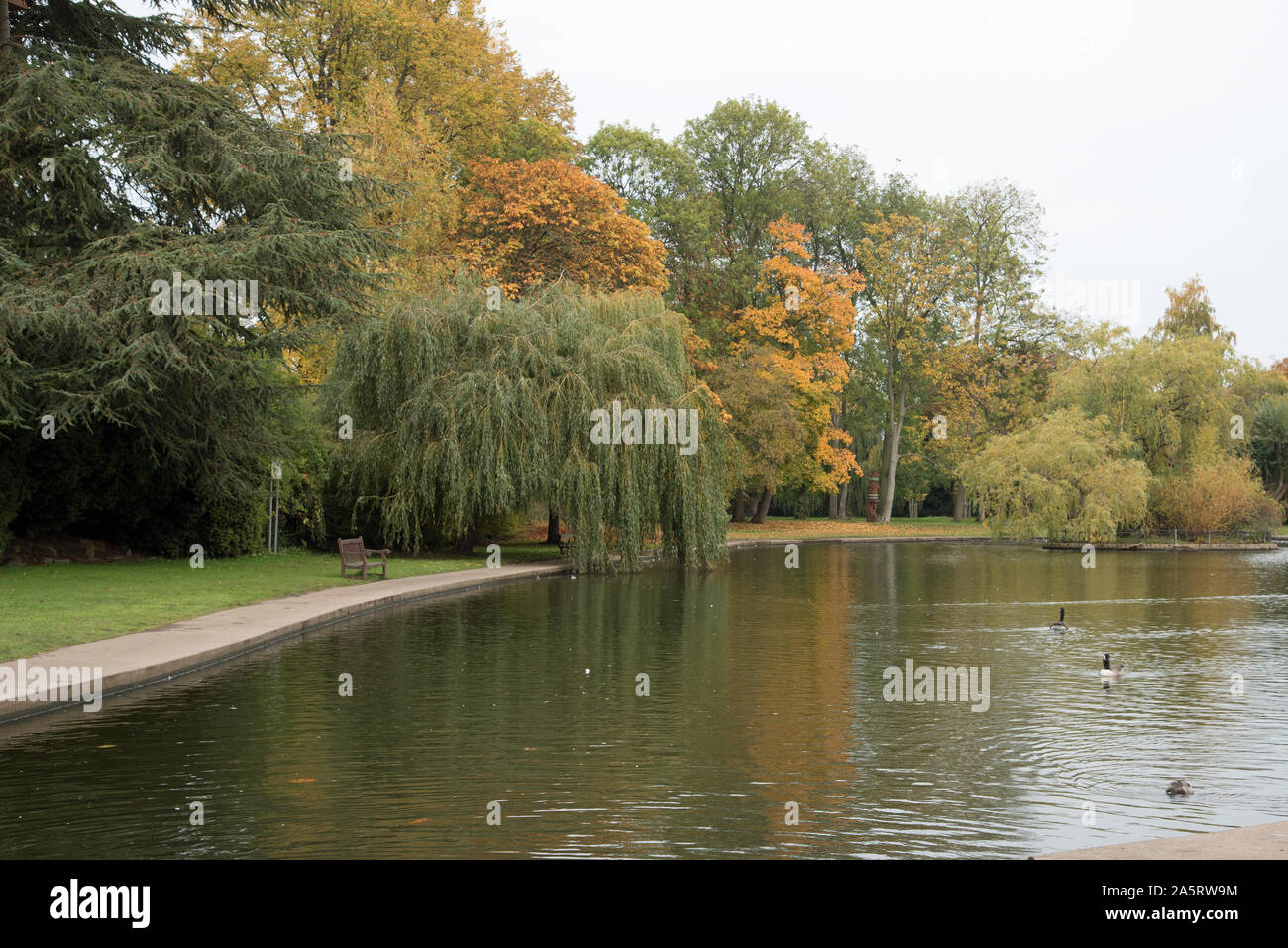 The Pond, model boat lake, in Rowntree Park York North Yorkshire with ...