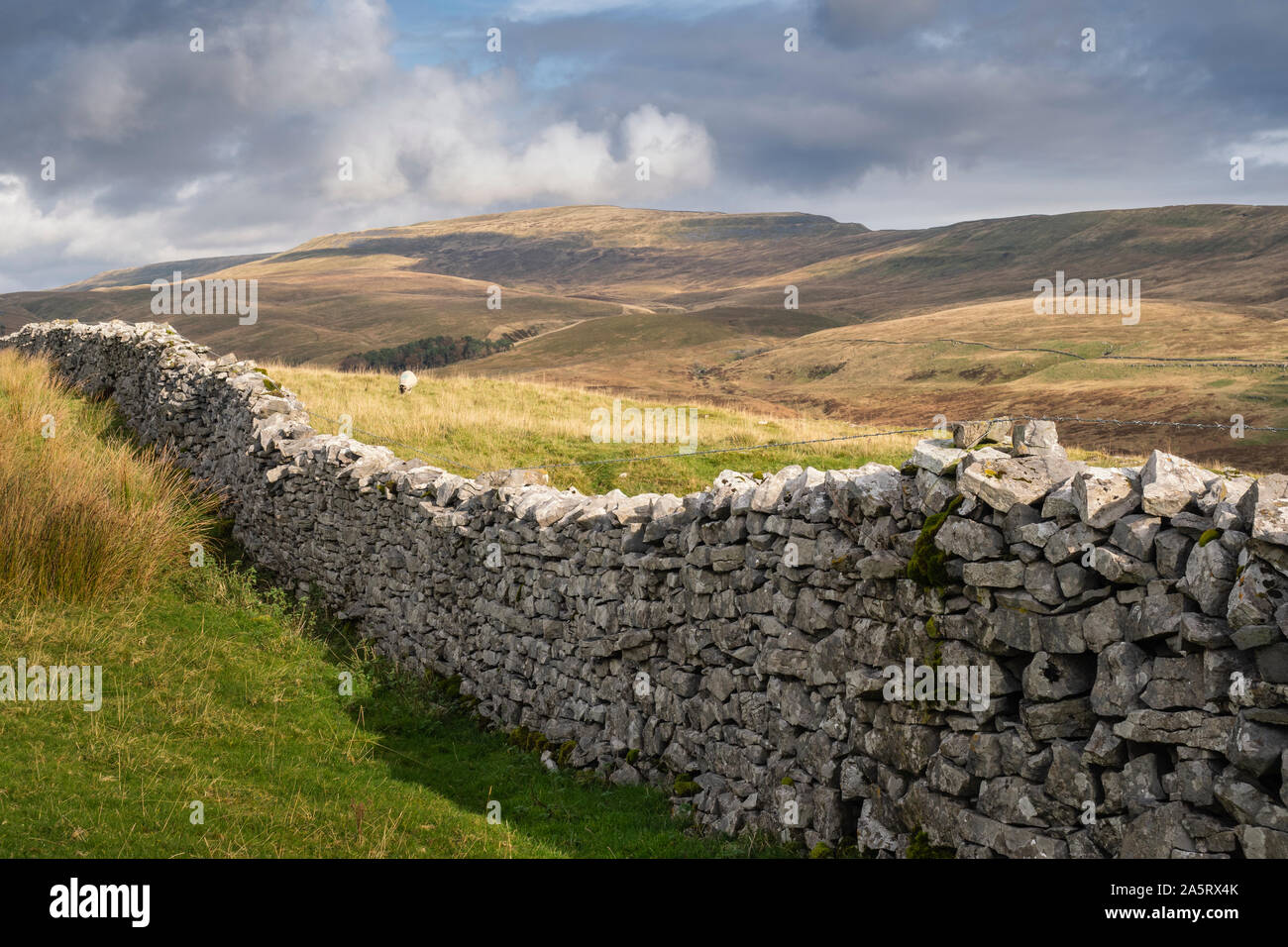 Kingsdale is on the Western side of the Dales National Park and lies in ...