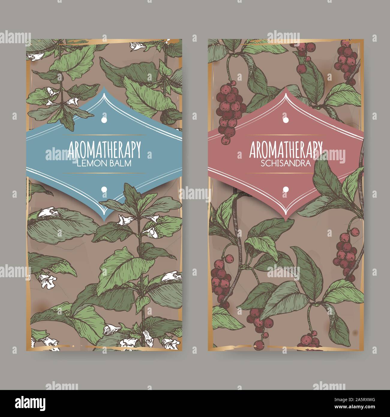 Two labels with Lemon balm aka Melissa officinalis and Schisandra ...