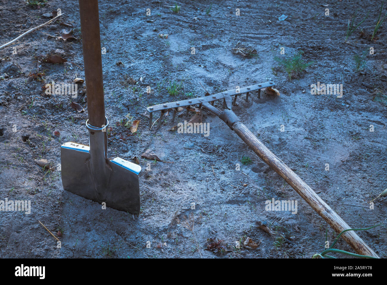 Cultivator farm shovel hi-res stock photography and images - Alamy