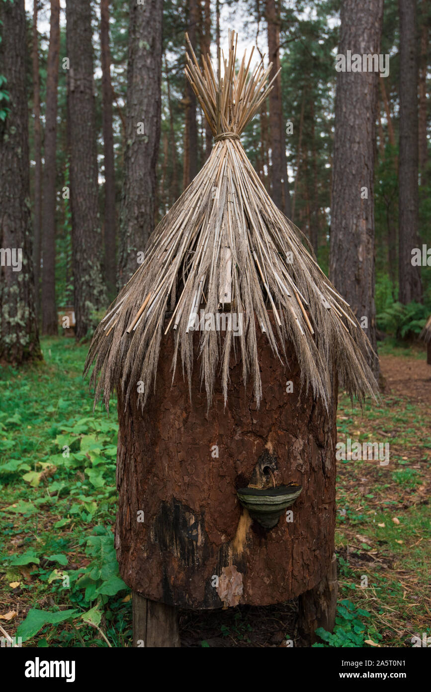 Old bee-hive in the forest Stock Photo - Alamy