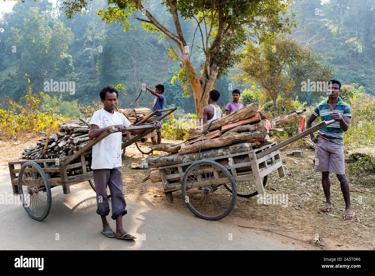 Cutting trees india deforestation hi-res stock photography and images ...