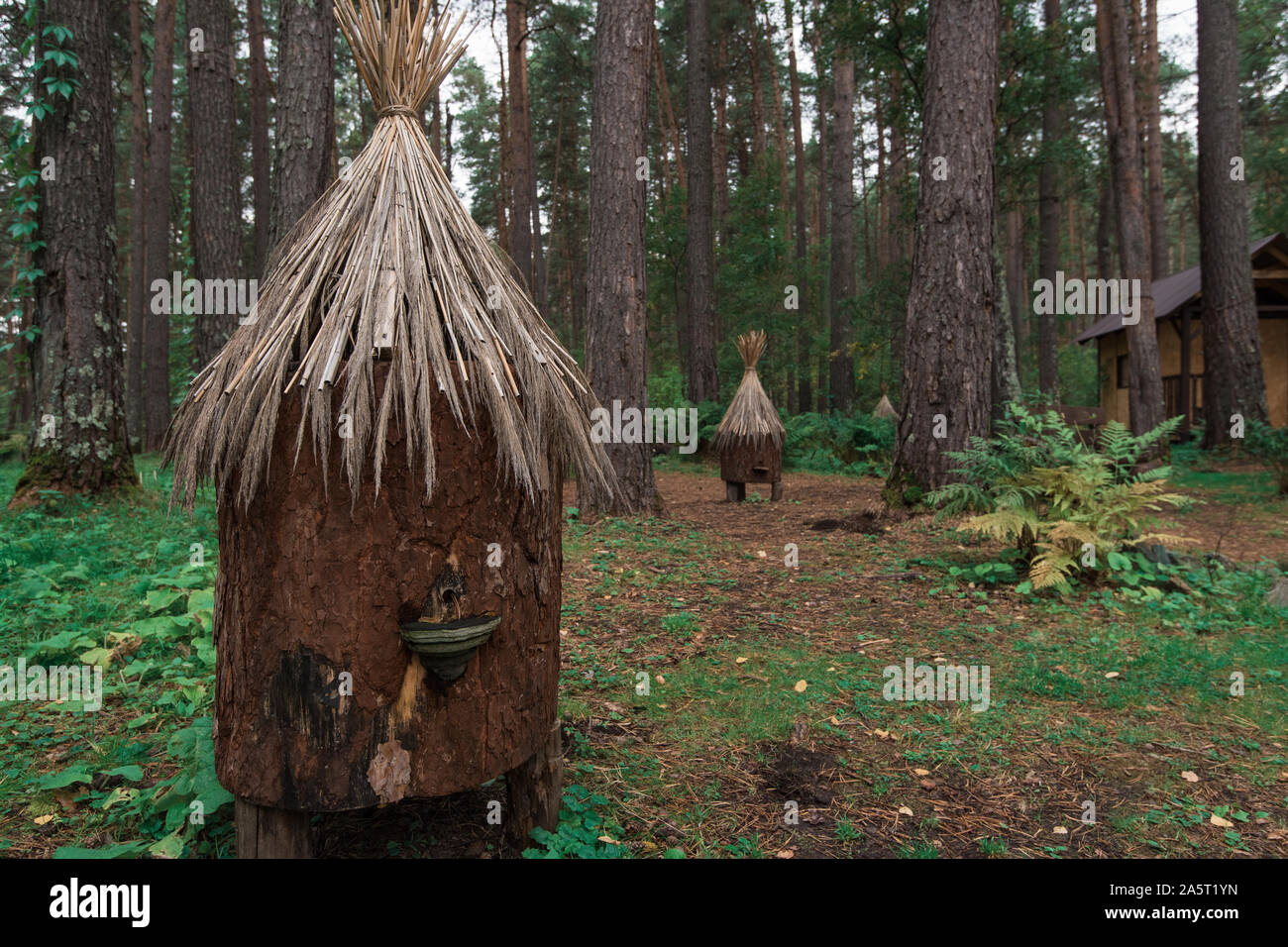 Abandoned bee hive hi-res stock photography and images - Alamy