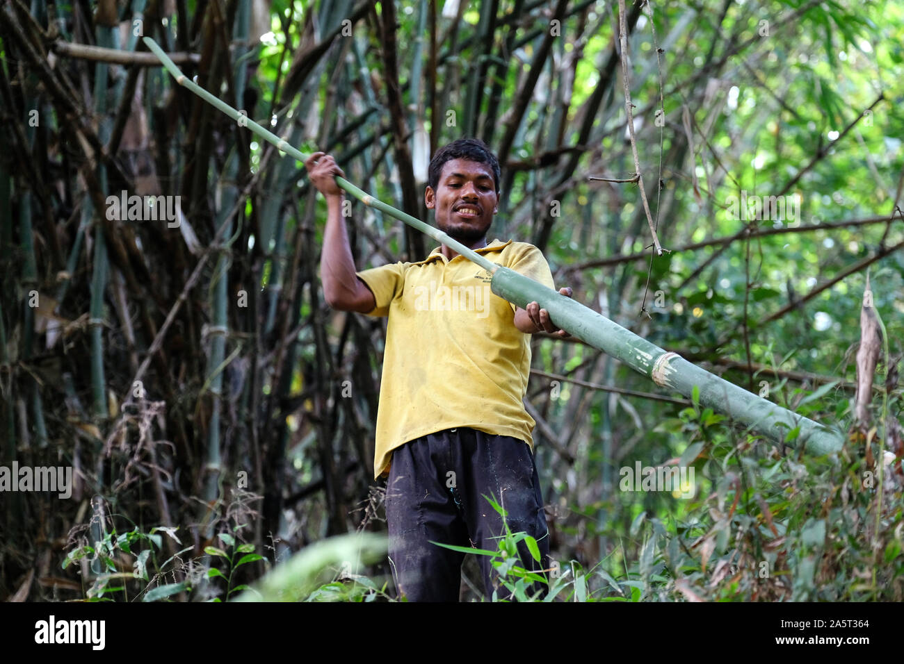 Man With Bamboo Stick High Resolution Stock Photography and Images - Alamy