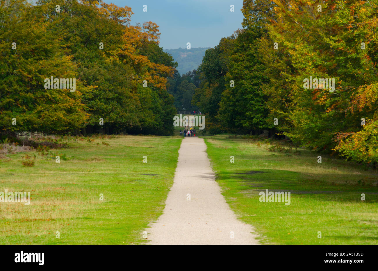 Long straight way through hi-res stock photography and images - Alamy